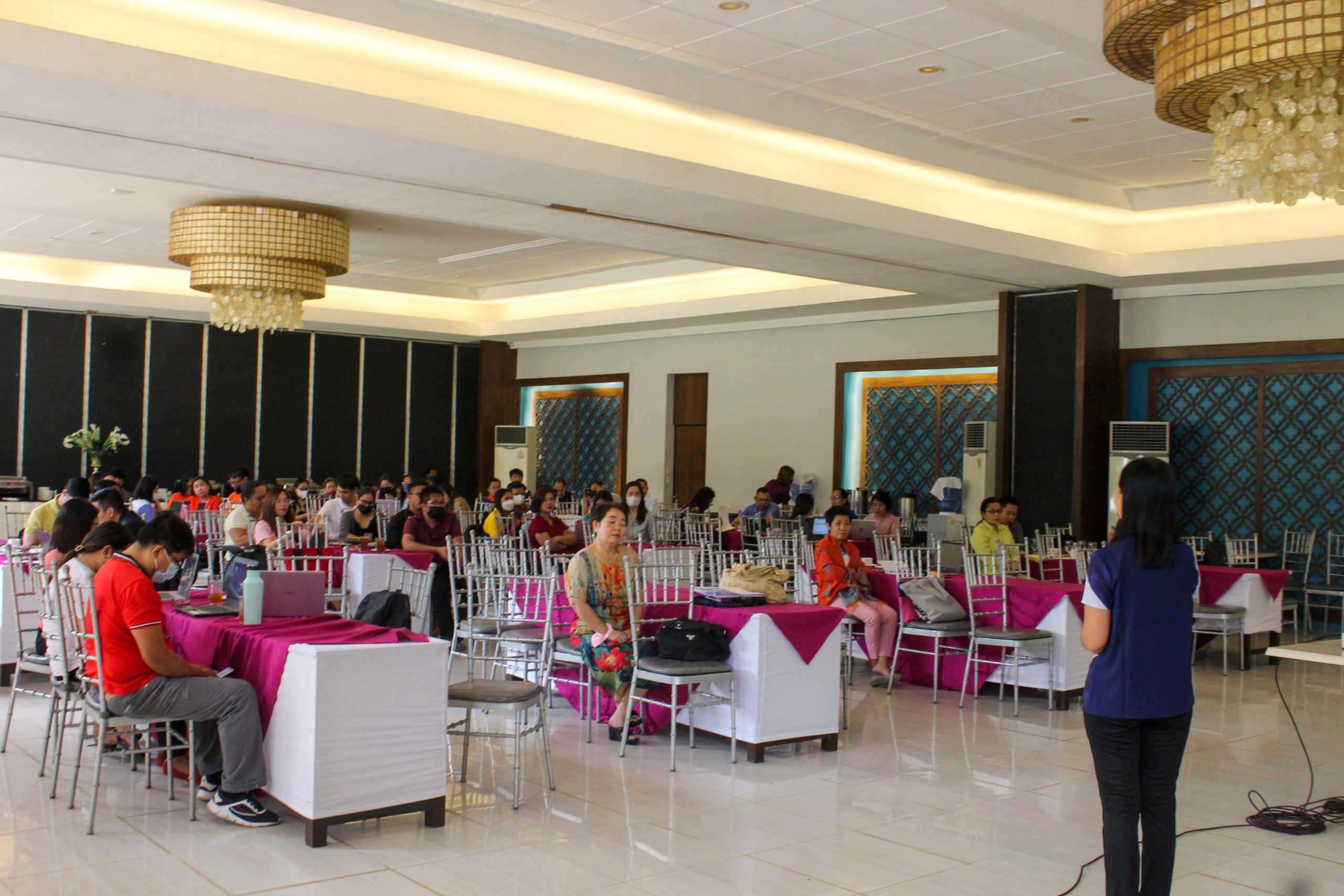 GAD explores HGDG in training workshop - Carlos Hilado Memorial State ...